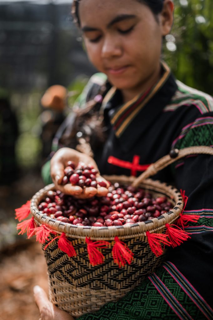 Joshua Jones: The Three Corner Coffee Ethical Coffee Pioneer - Cambodia ...